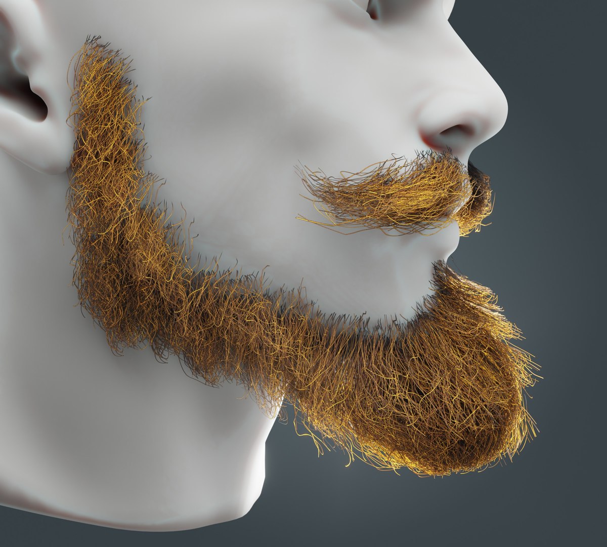 Beard RealTime 5 Version 2 3D - TurboSquid 1892334