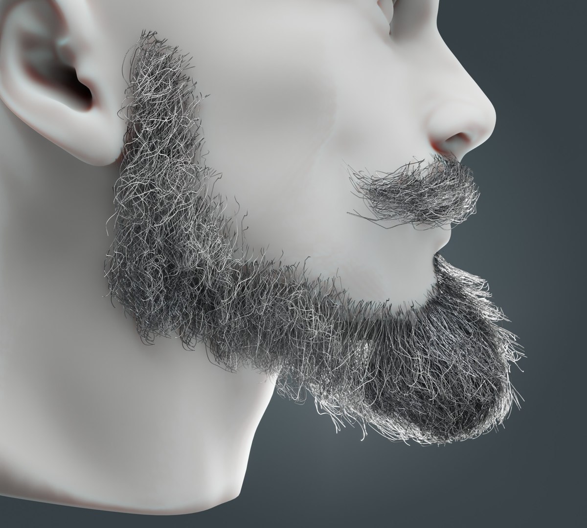 Beard RealTime 5 Version 2 3D - TurboSquid 1892334