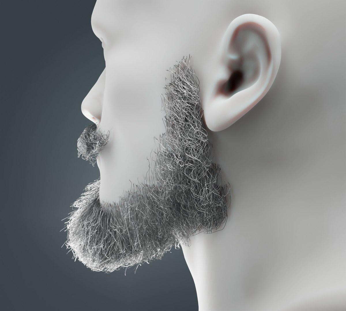 Beard RealTime 5 Version 2 3D - TurboSquid 1892334