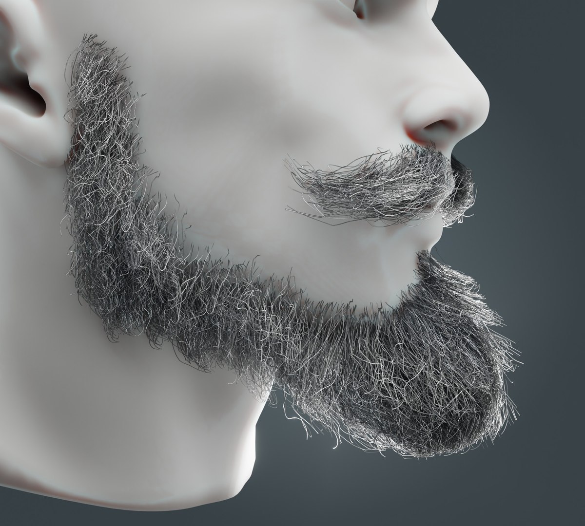Beard RealTime 5 Version 2 3D - TurboSquid 1892334