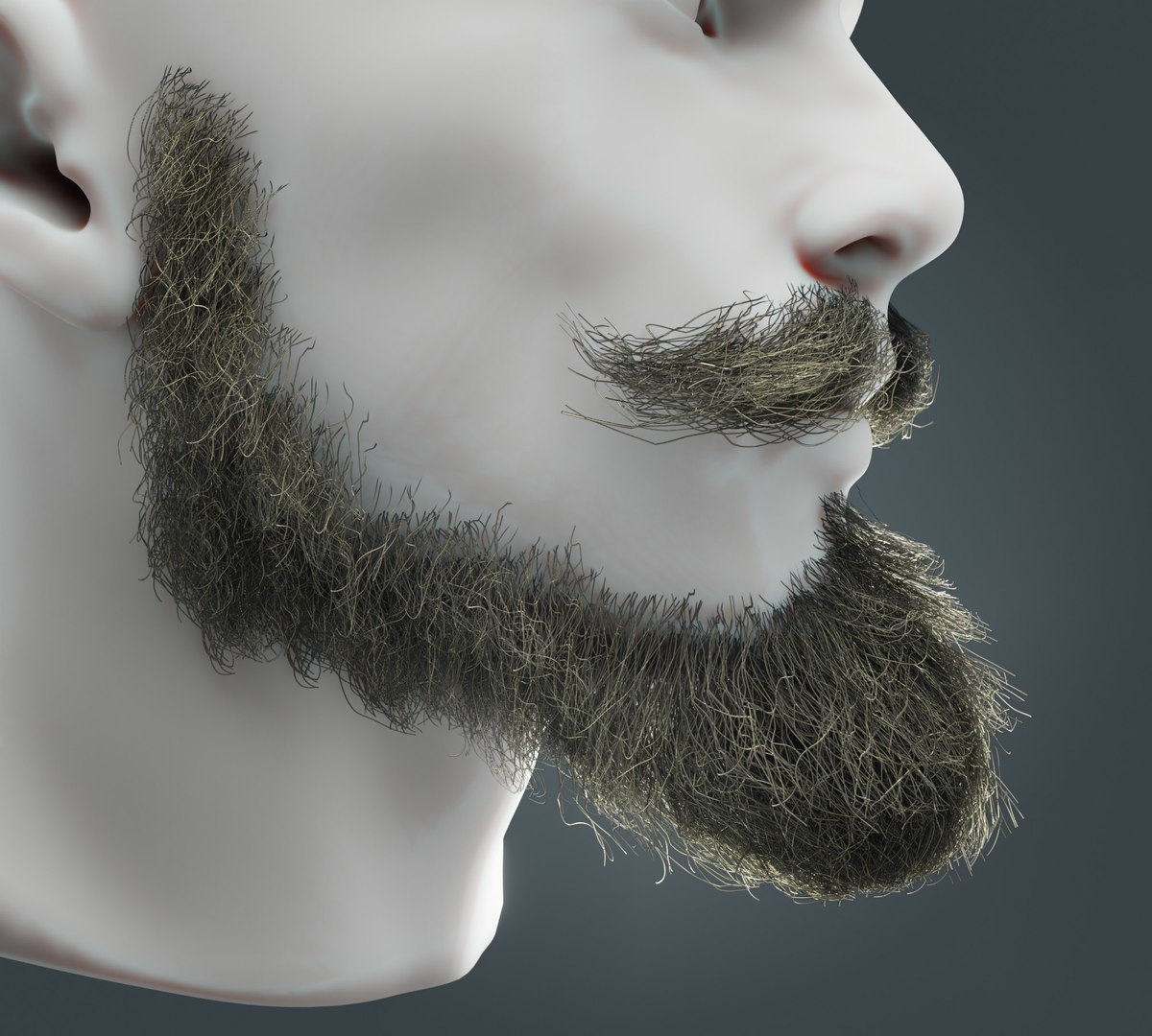 Beard RealTime 5 Version 2 3D - TurboSquid 1892334