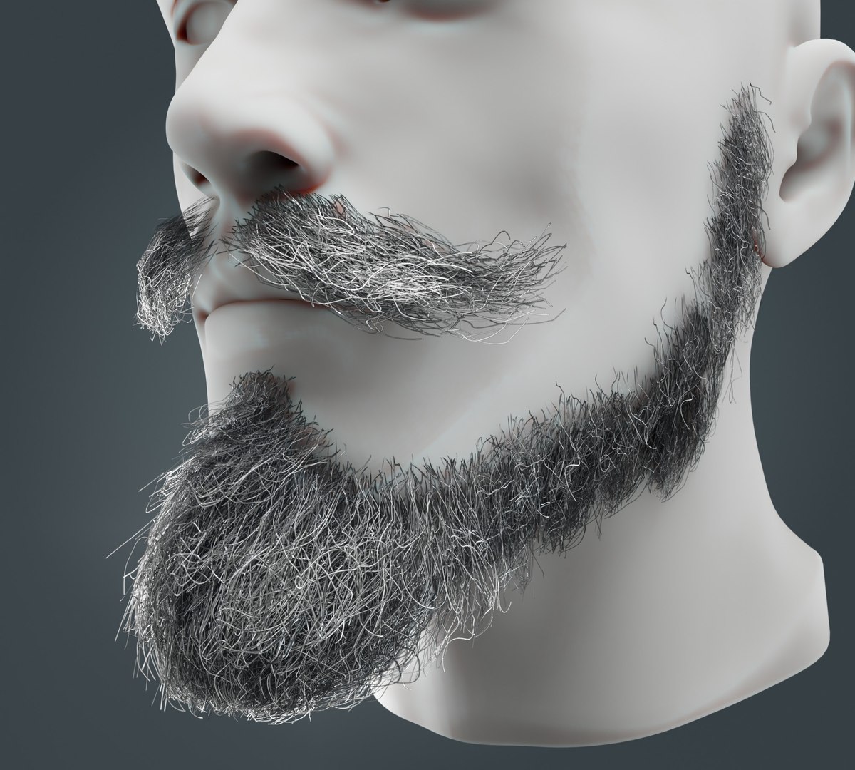 Beard RealTime 5 Version 2 3D - TurboSquid 1892334