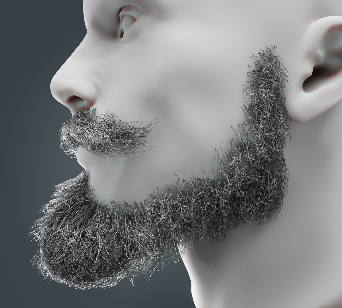 Beard RealTime 5 Version 2 3D - TurboSquid 1892334
