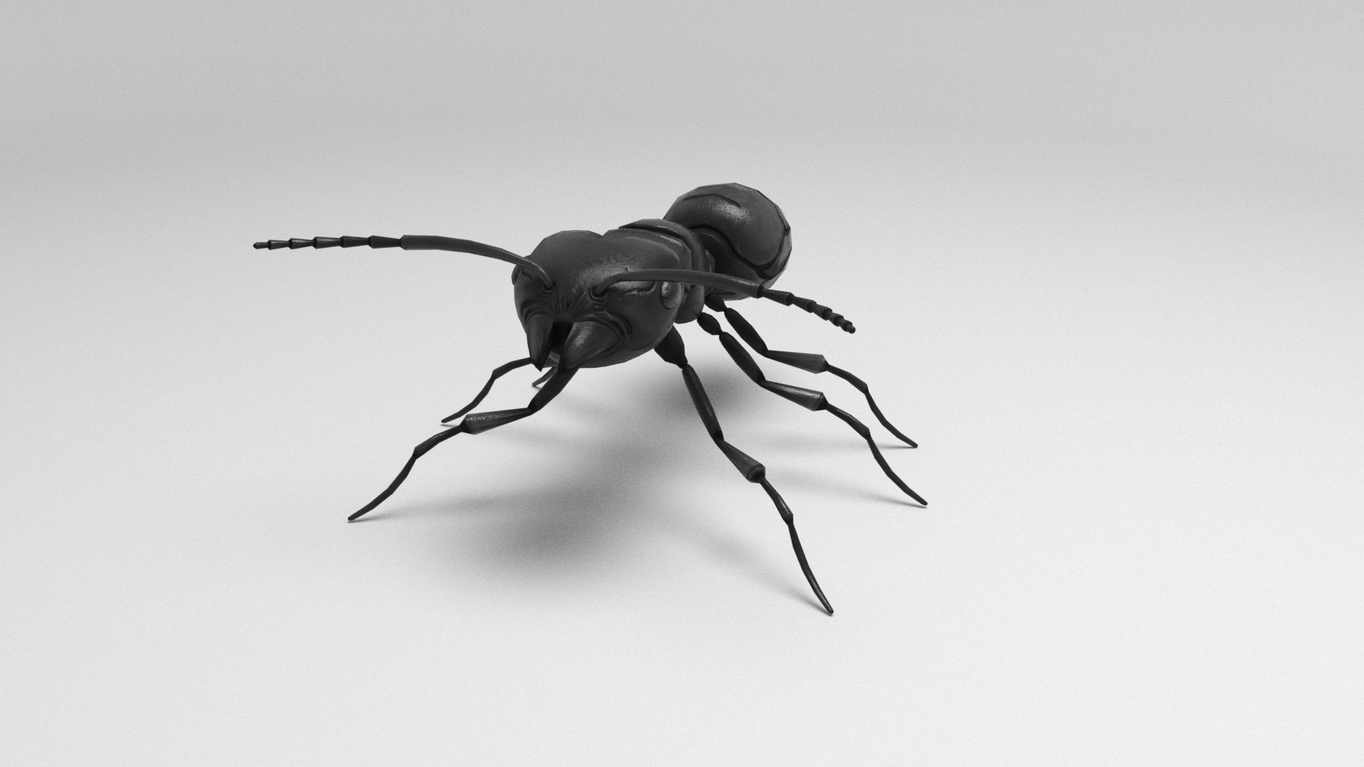 3D Black Ant Model - TurboSquid 1990669