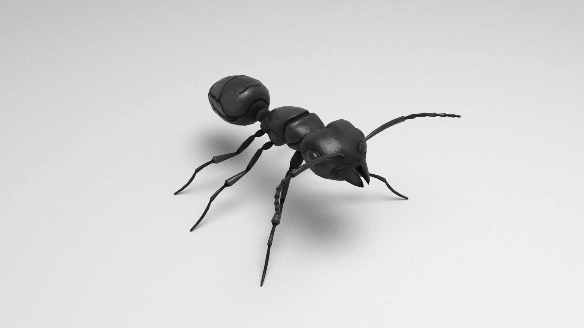 3D Black Ant Model - TurboSquid 1990669