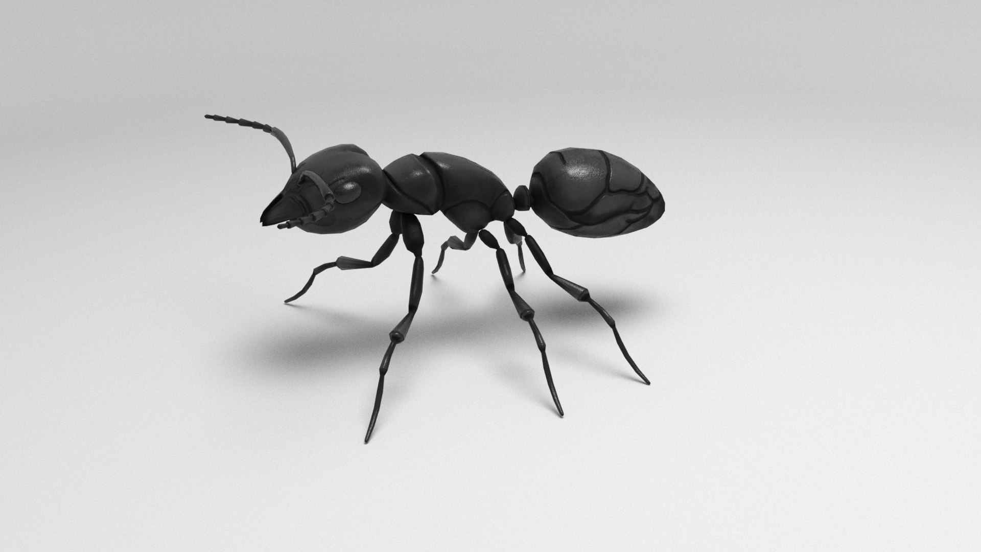3D Black Ant Model - TurboSquid 1990669