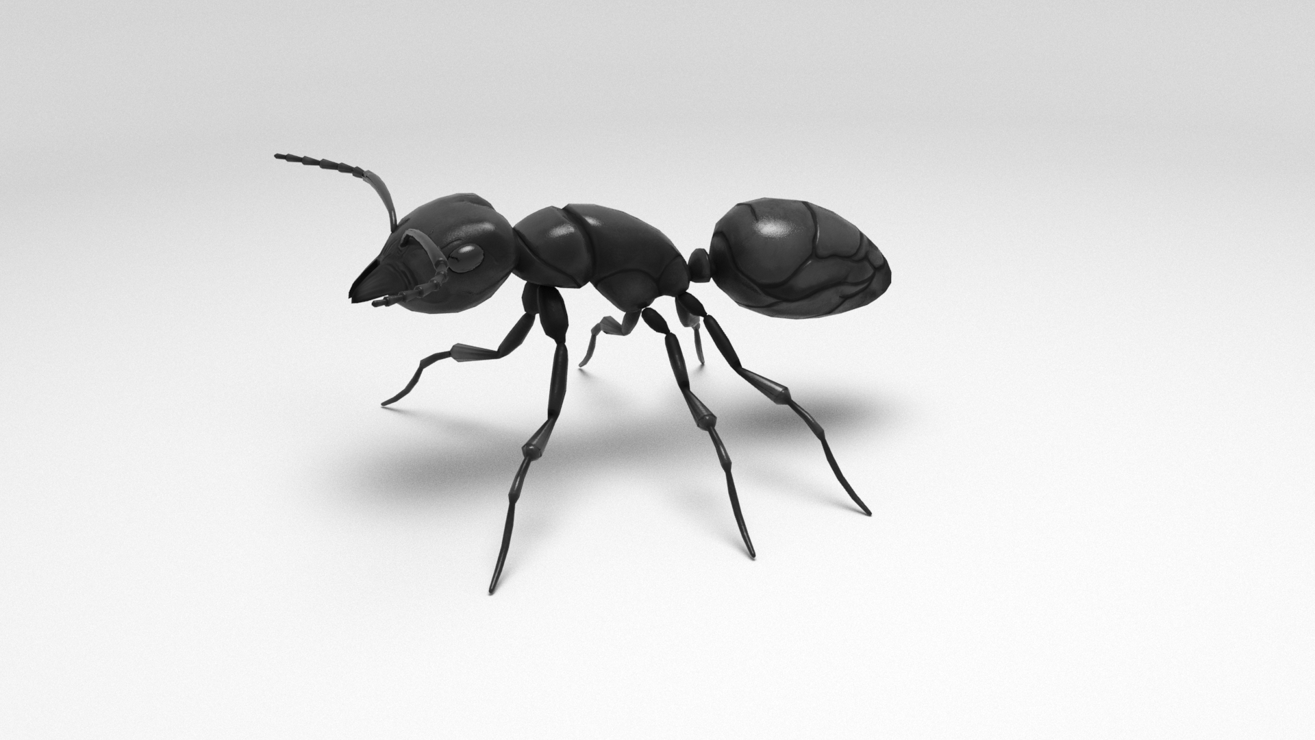 3D Black Ant Model - TurboSquid 1990669