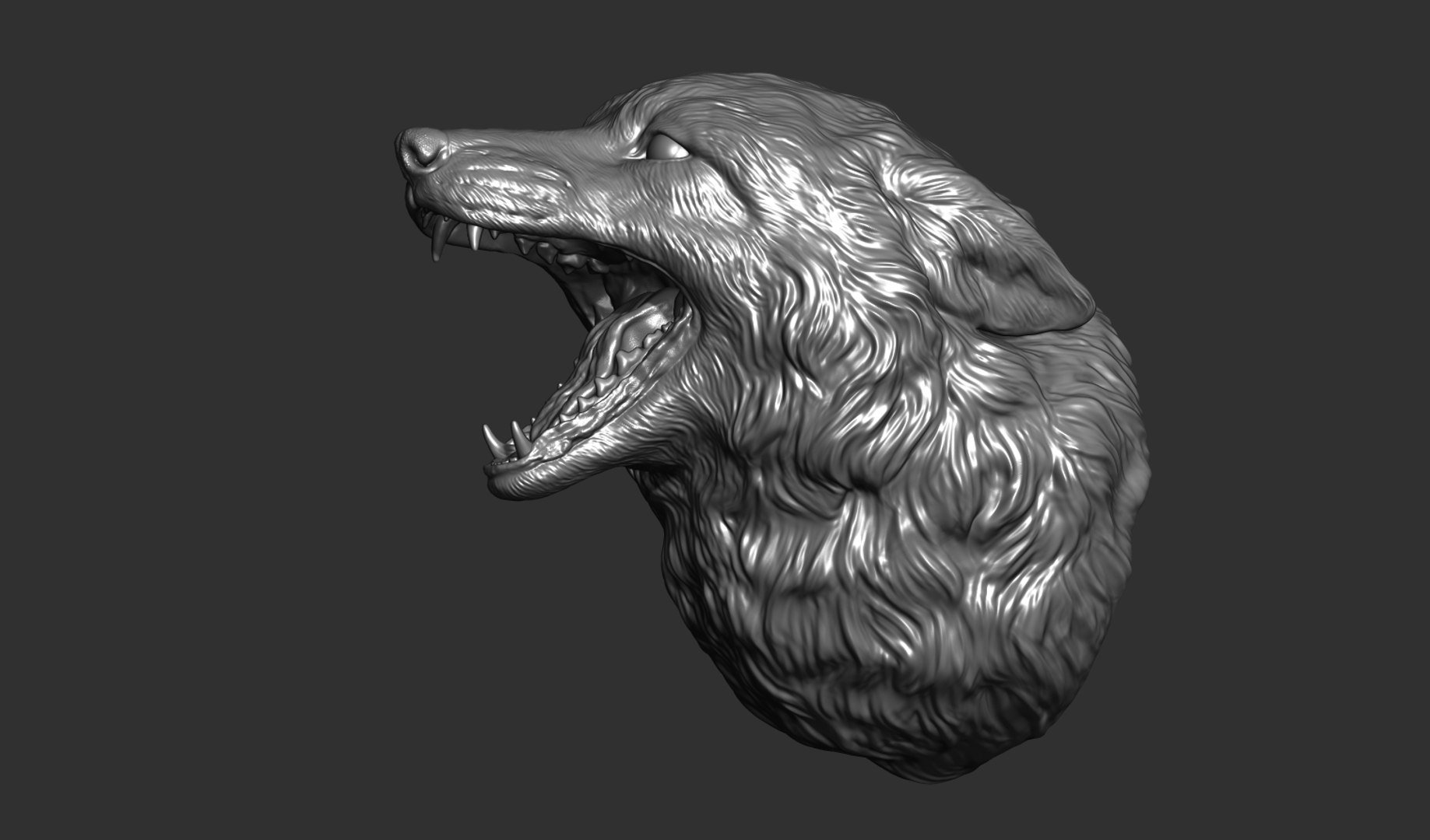 3D Fox Grin Head - TurboSquid 1829215