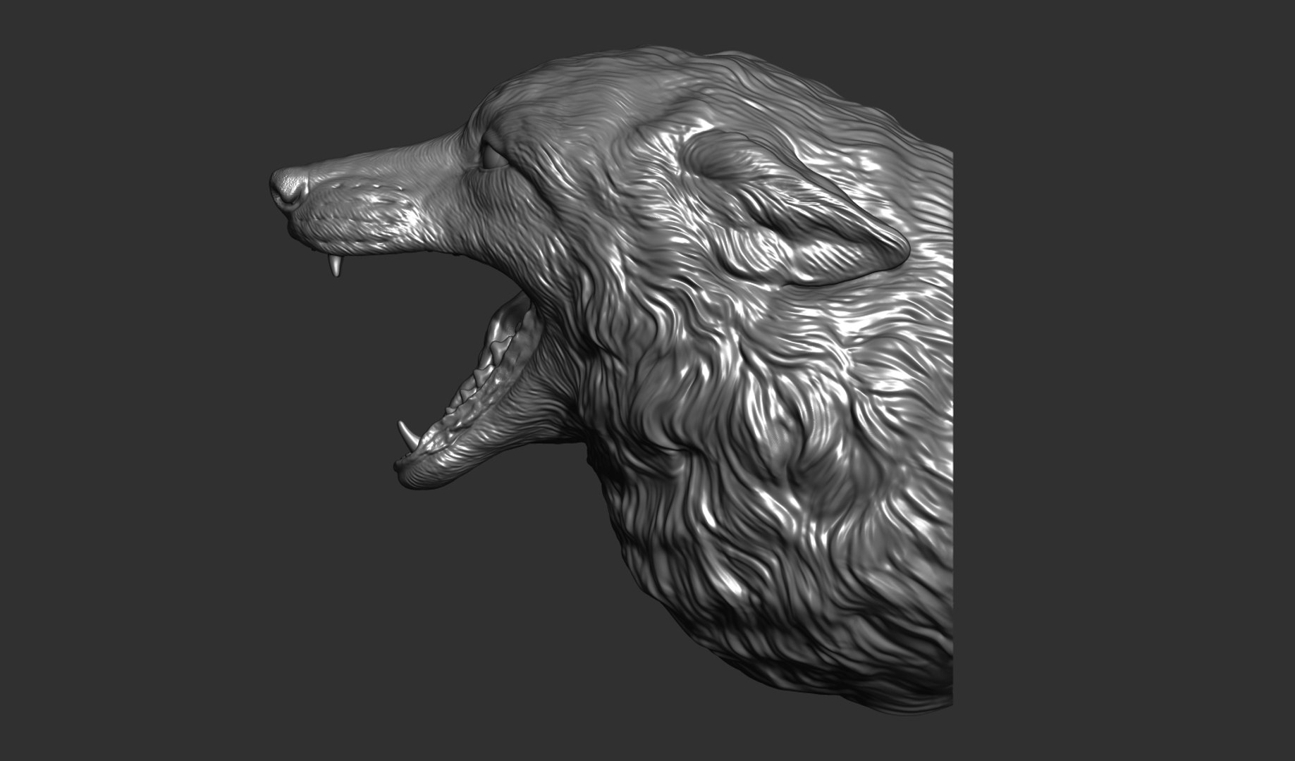 3D Fox Grin Head - TurboSquid 1829215