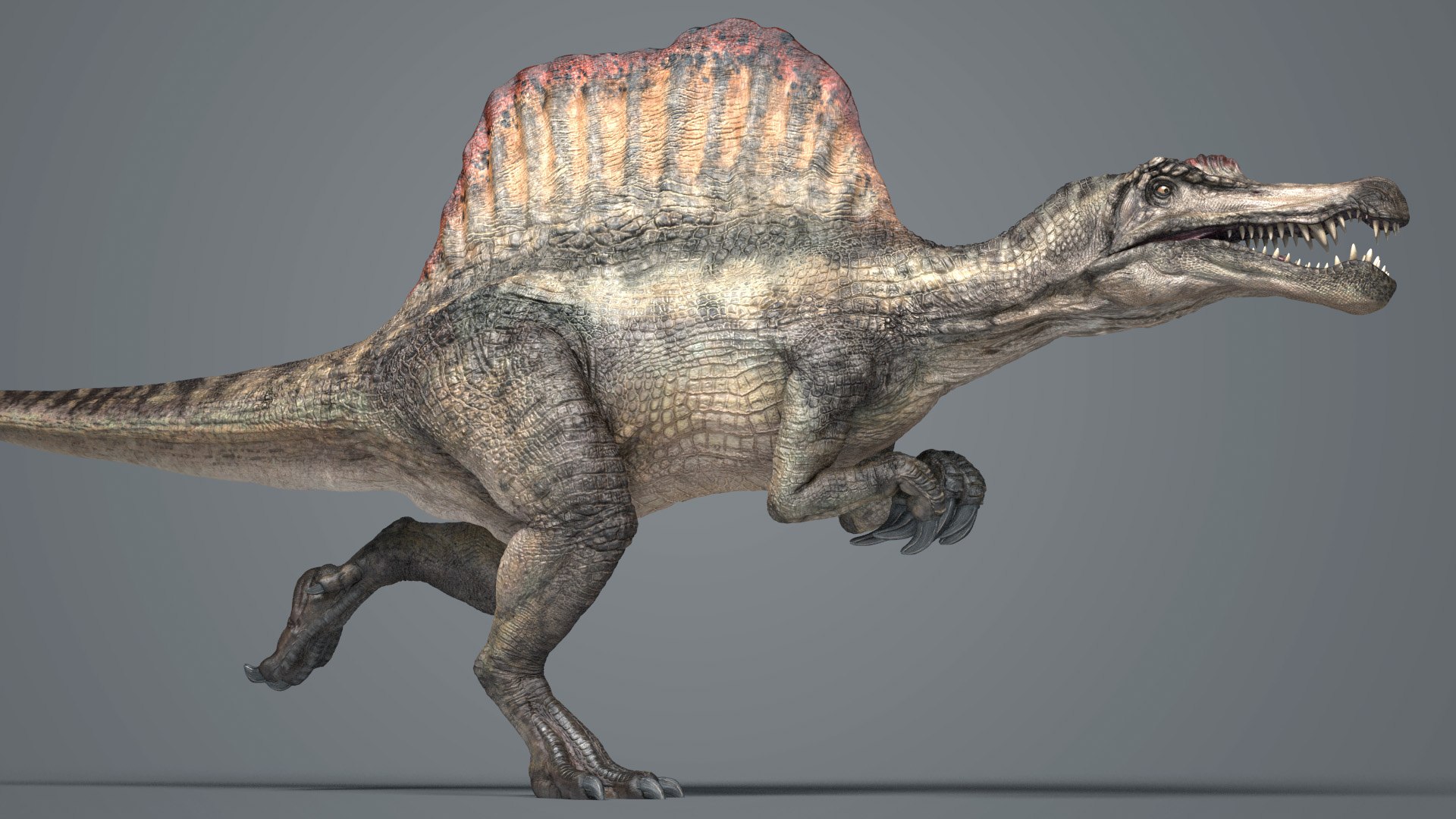 3D Spinosaurus Animations - TurboSquid 1370279