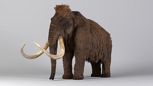 Download Free & Premium Mammoth 3D Models | TurboSquid