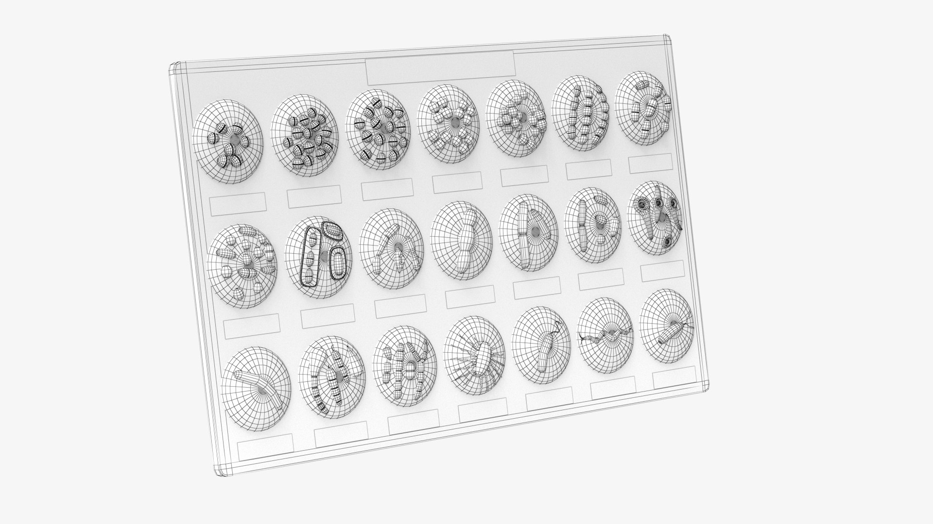Bacteria Types Board Model - TurboSquid 1439103