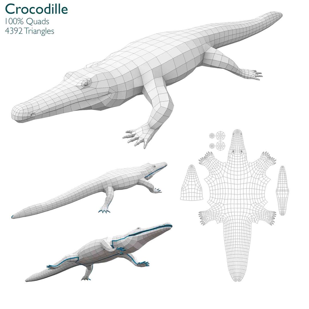 60 base meshes 3D model - TurboSquid 1150474