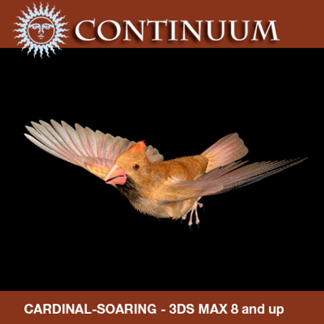 Cardinal - Female: Soaring 3d Model
