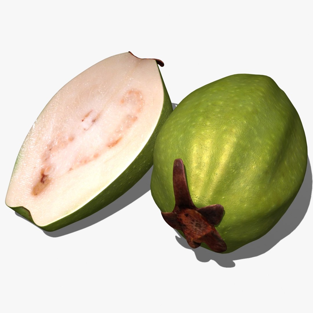 Guava Scanline 3d Max