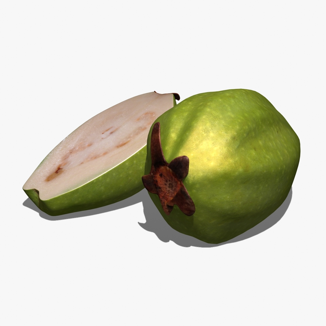 Guava Scanline 3d Max