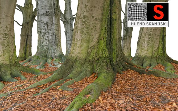 3D tree hd model - TurboSquid 1286893