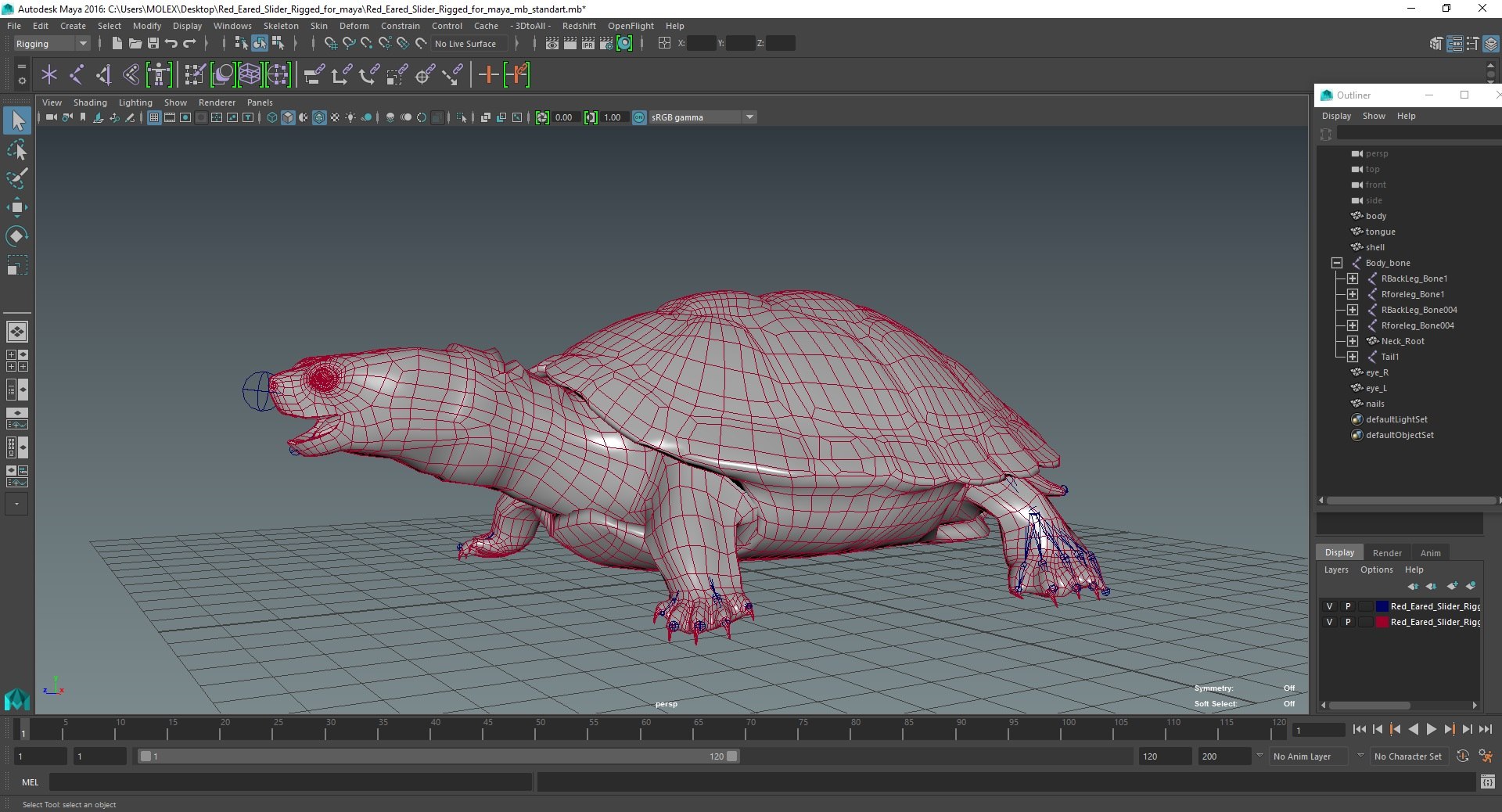 Red Eared Slider Rigged For Maya 3D Model - TurboSquid 2161791