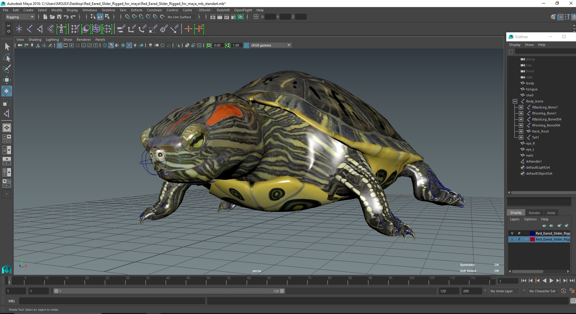 Red Eared Slider Rigged For Maya 3D Model - TurboSquid 2161791