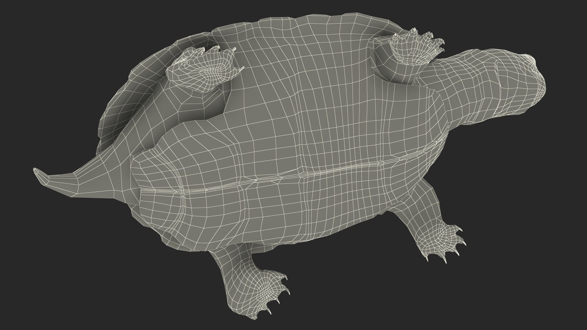 Red Eared Slider Rigged For Maya 3D Model - TurboSquid 2161791