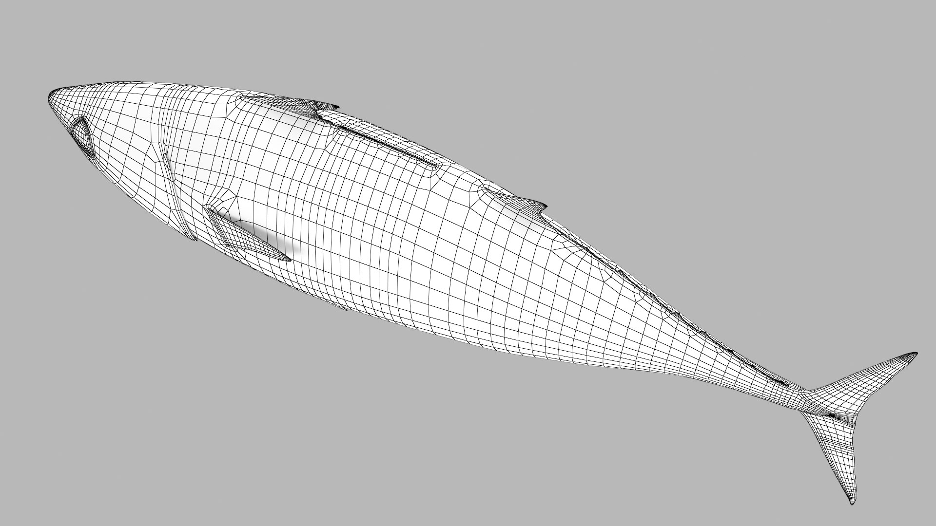 3D Bonito(1) Model - TurboSquid 1943910