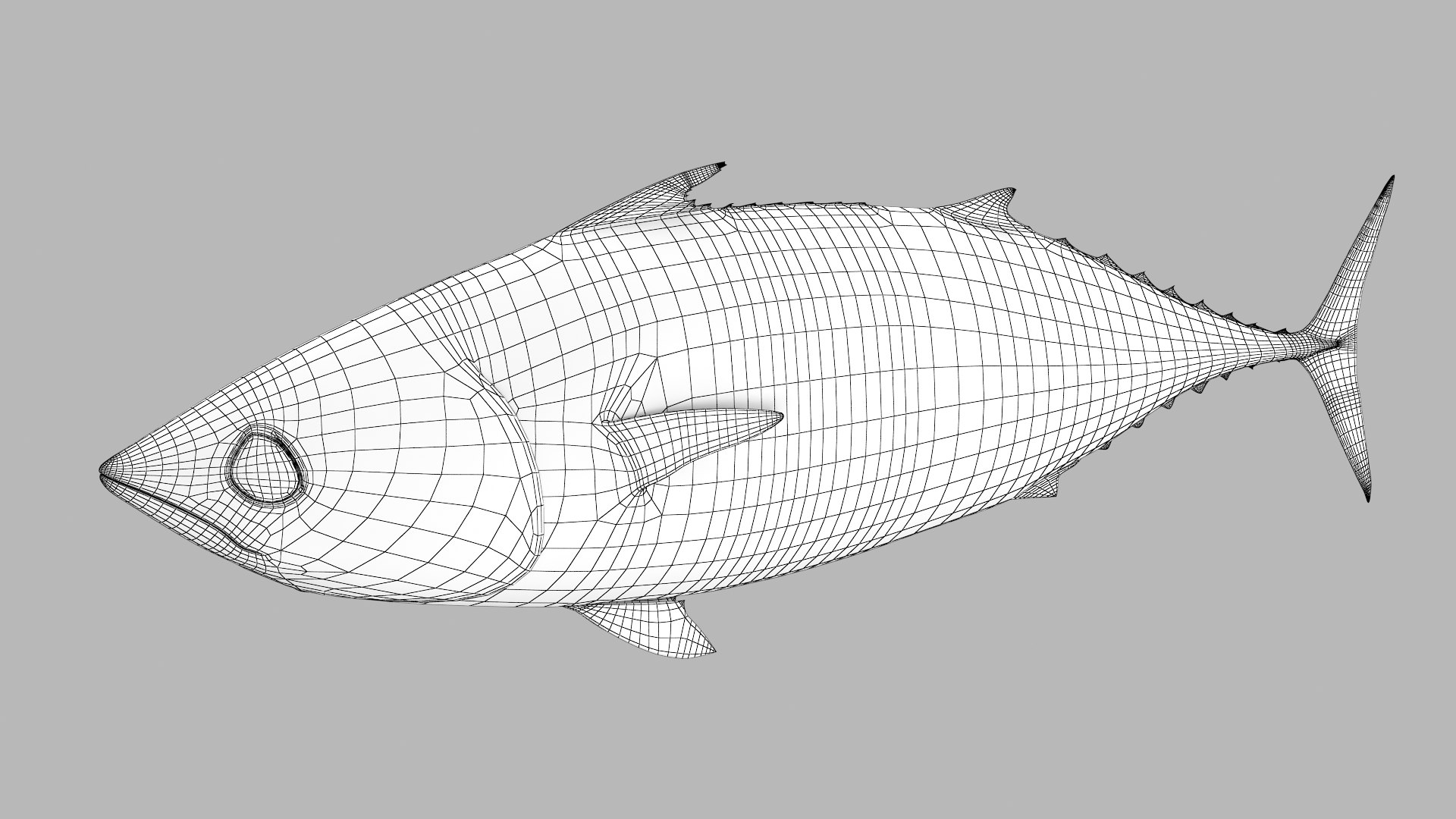 3D Bonito(1) Model - TurboSquid 1943910