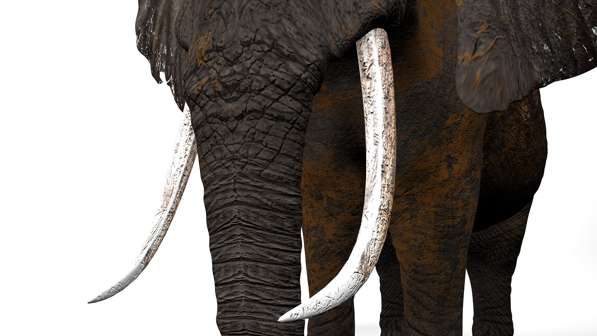 3D African Elephant RIGGED L2365 - TurboSquid 2393244