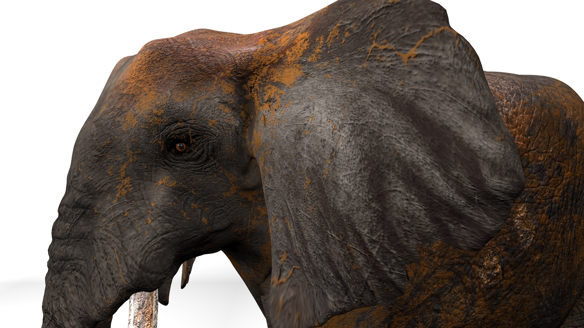 3D African Elephant RIGGED L2365 - TurboSquid 2393244