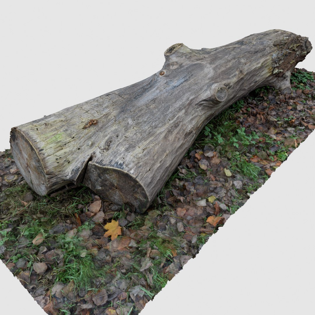 Scan Forest Trunk 3D Model - TurboSquid 1655058