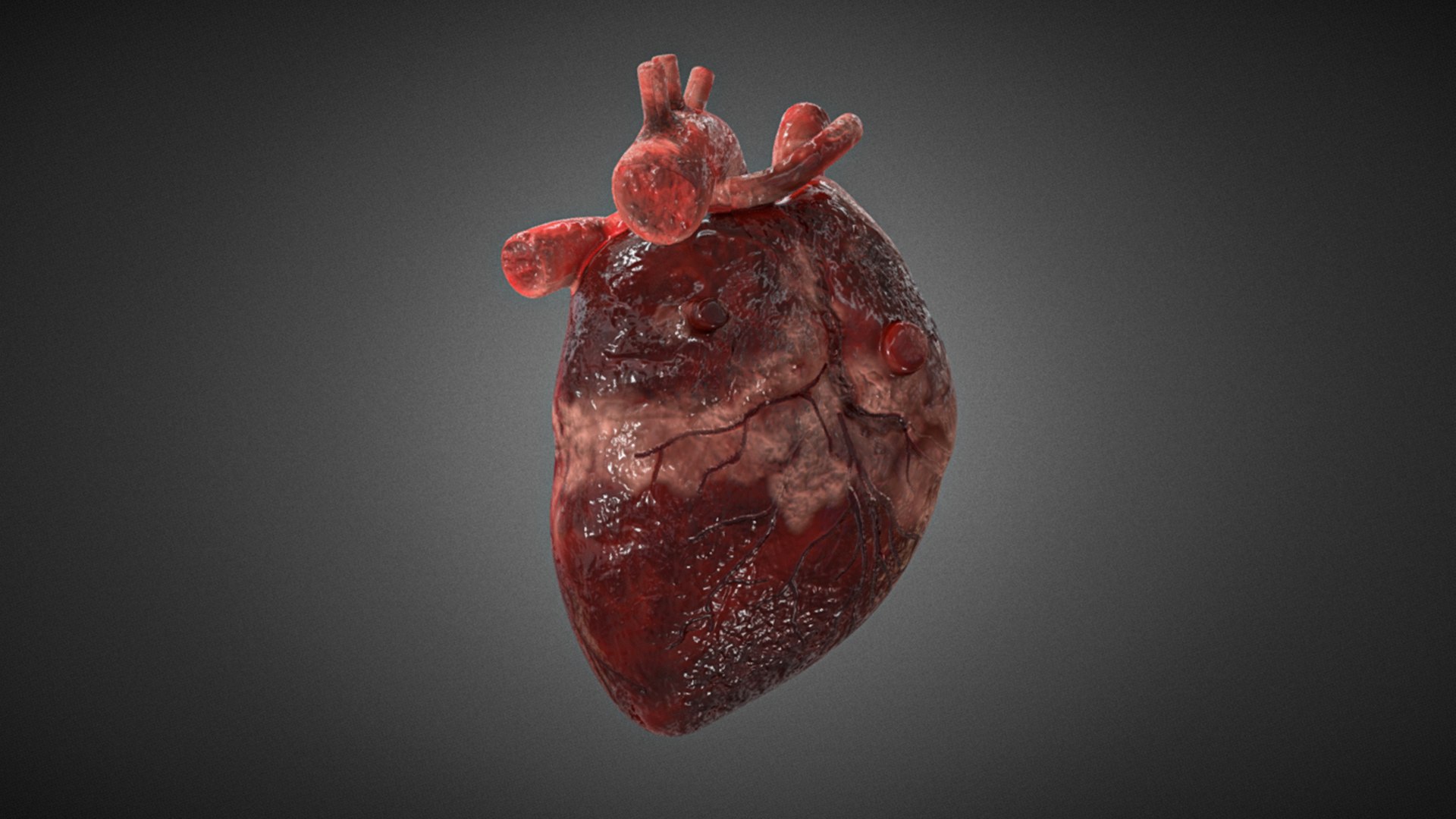 Free Realistic Human Heart 3D - TurboSquid 1967203