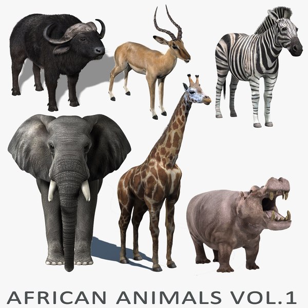 Texture Windows Bitmap birds bird wing