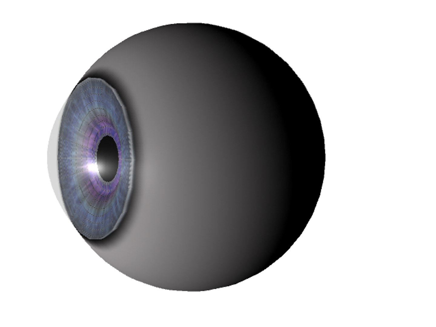 Eye 3d Model