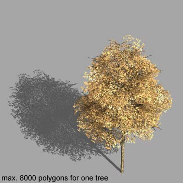 3d ash tree set