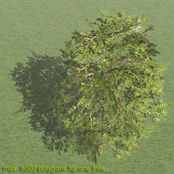3d ash tree set