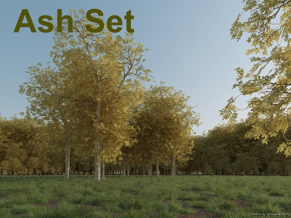 3d ash tree set