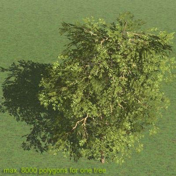 3d ash tree set