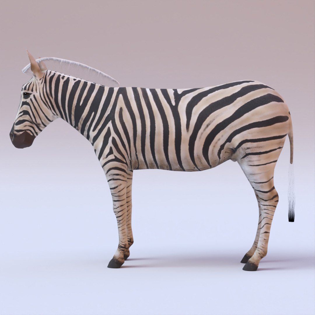 ZEBRA 3D - TurboSquid 2031626
