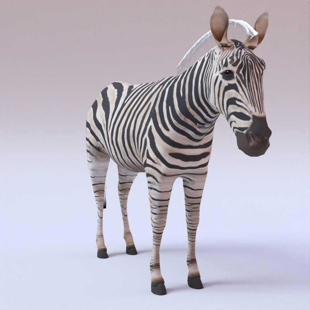 ZEBRA 3D - TurboSquid 2031626