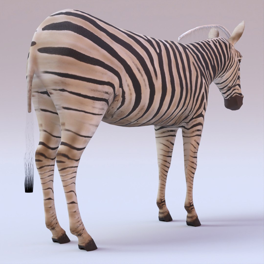 ZEBRA 3D - TurboSquid 2031626