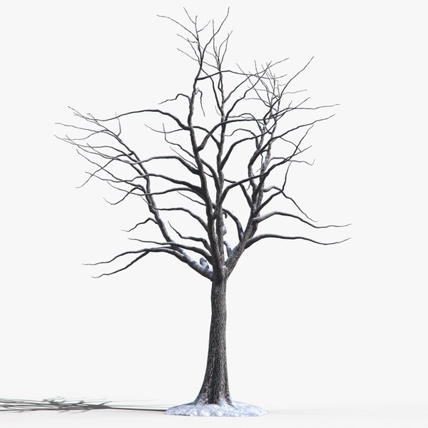 max frozen tree snow