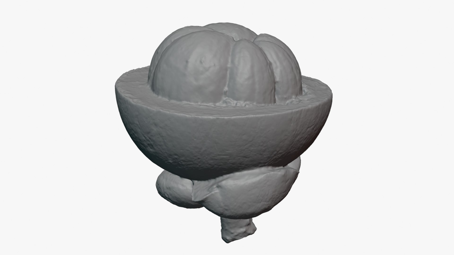3D Half Mangosteen 01 - For 3D Print - TurboSquid 2505472