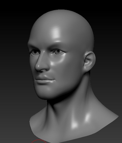 3d male head bust