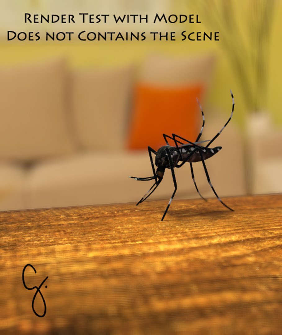 3d Aedes Aegypti