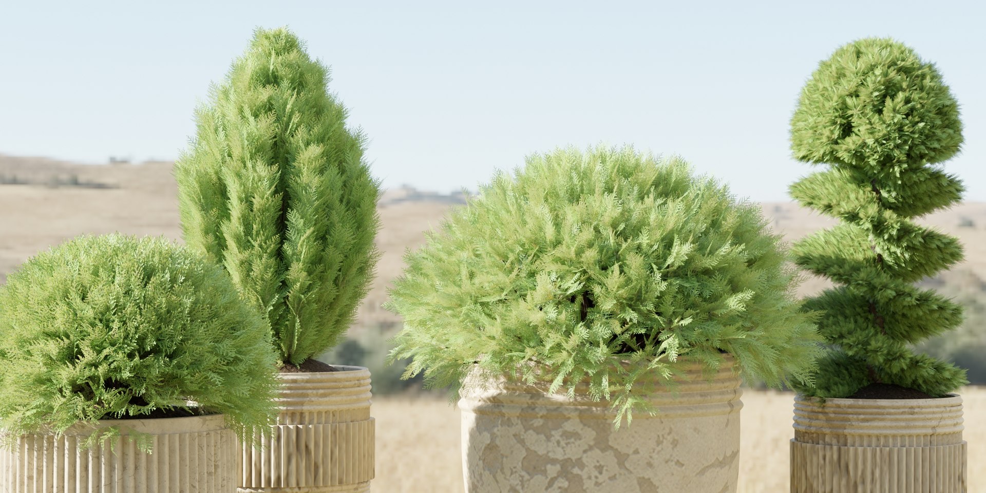 3D Juniper Cypress Collection Vol 114-Blender Model - TurboSquid 2140669