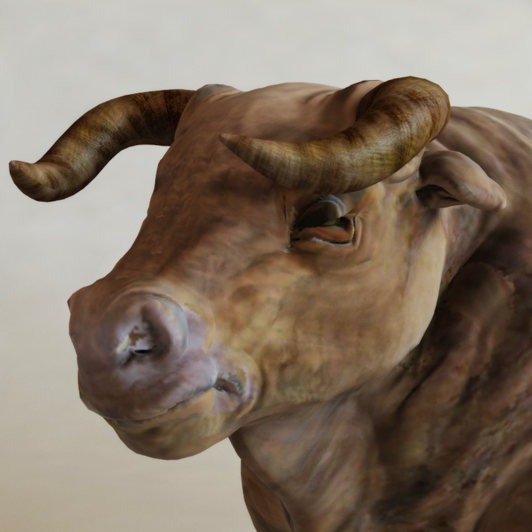Bull Modelled 3d Obj