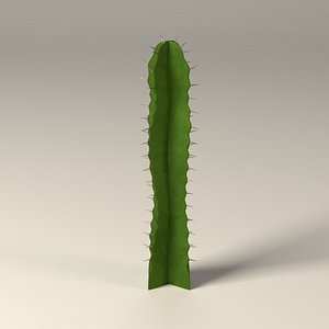 cactus pot 3d obj