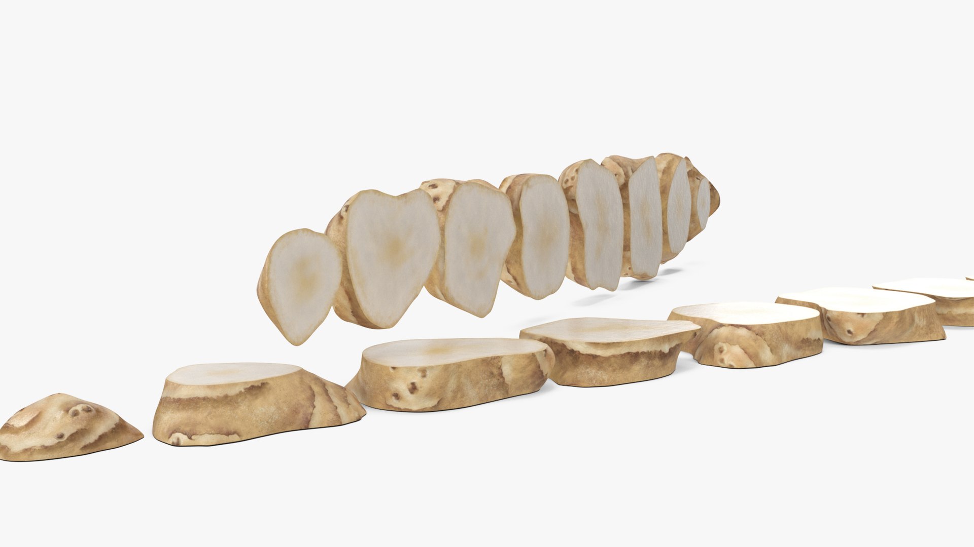 Sunroot Cut In Slices 3D Model - TurboSquid 2323652