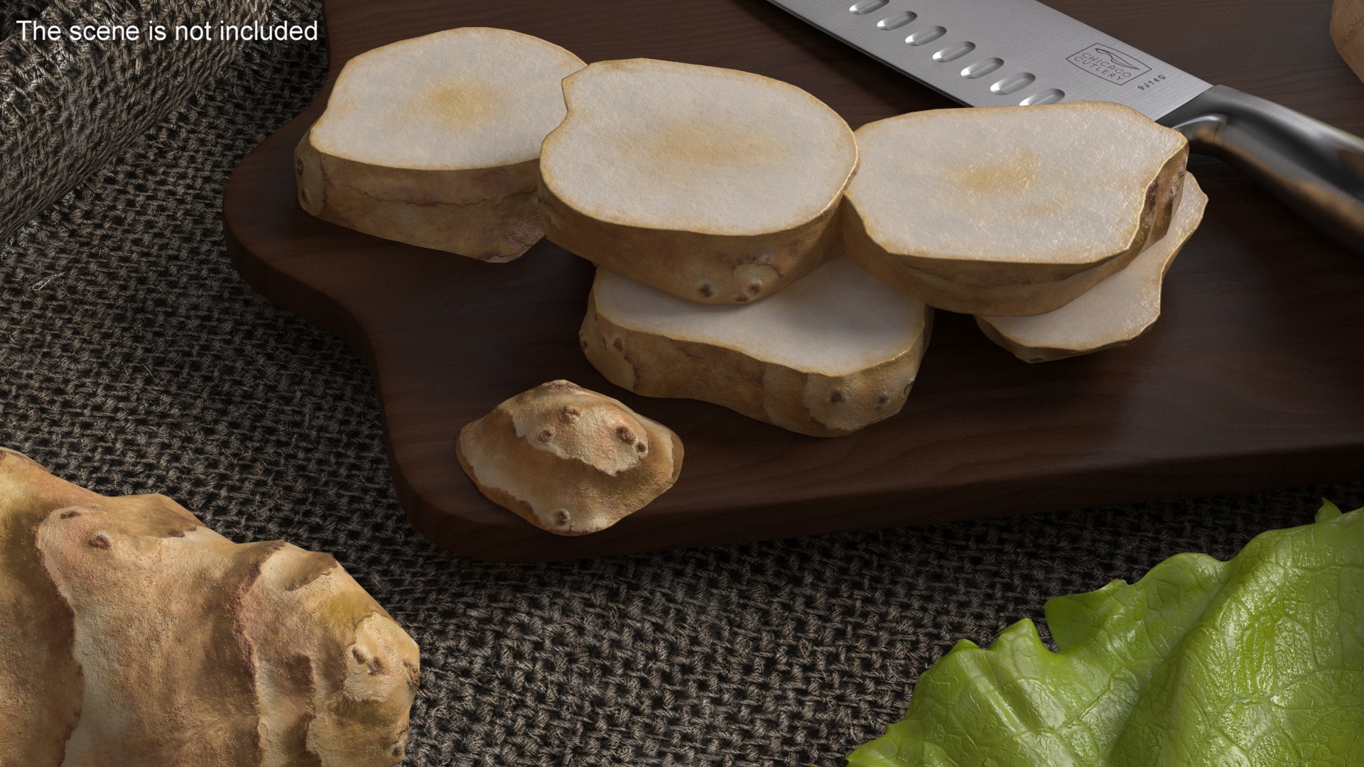 Sunroot Cut In Slices 3D Model - TurboSquid 2323652