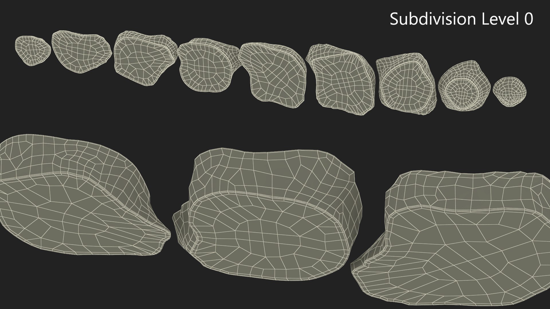 Sunroot Cut In Slices 3D Model - TurboSquid 2323652