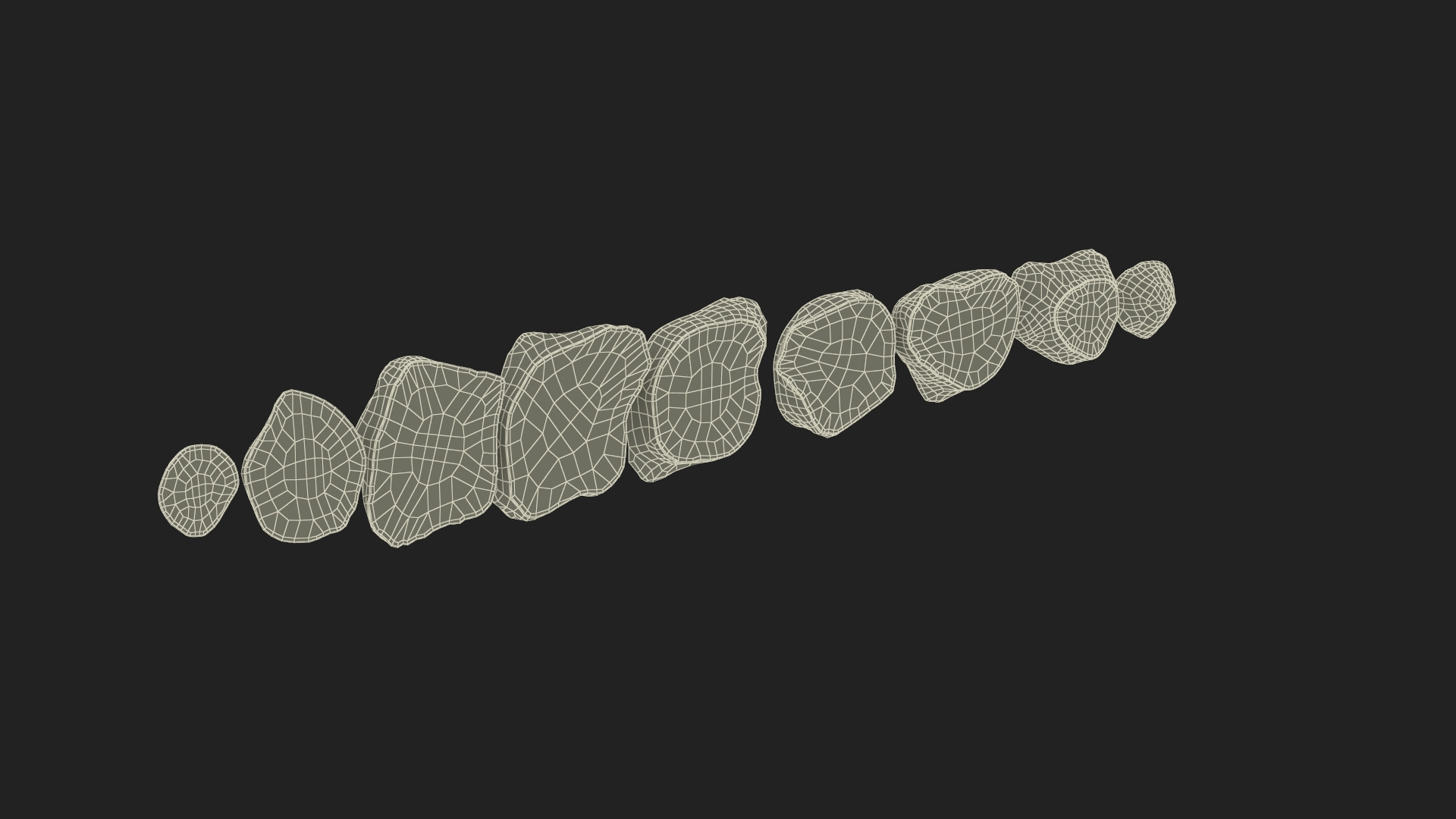 Sunroot Cut In Slices 3D Model - TurboSquid 2323652